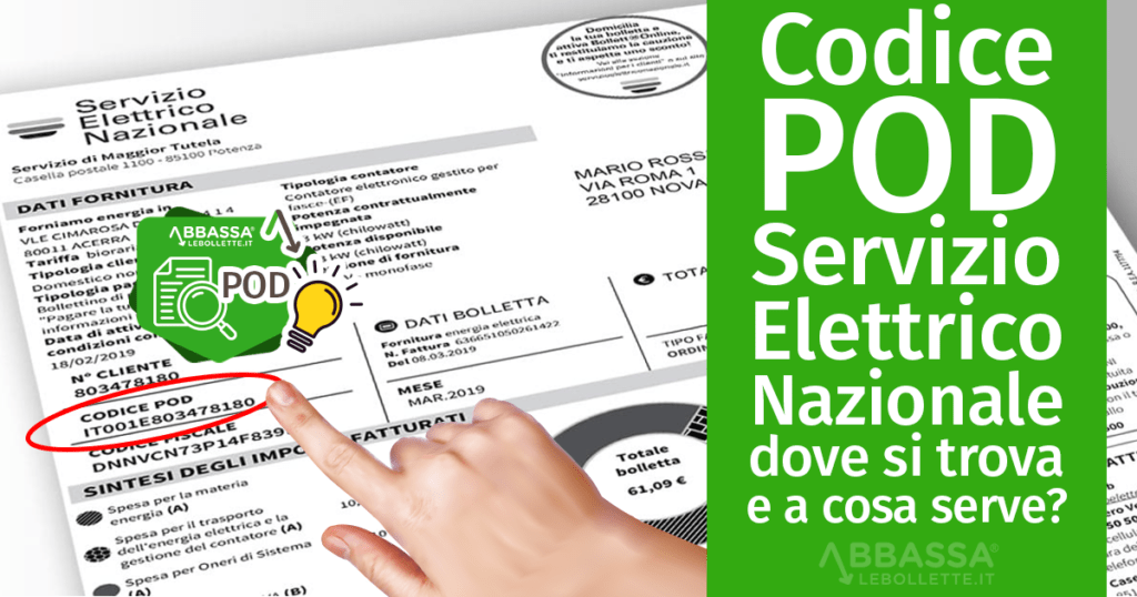 Servizio Elettrico Nazionale